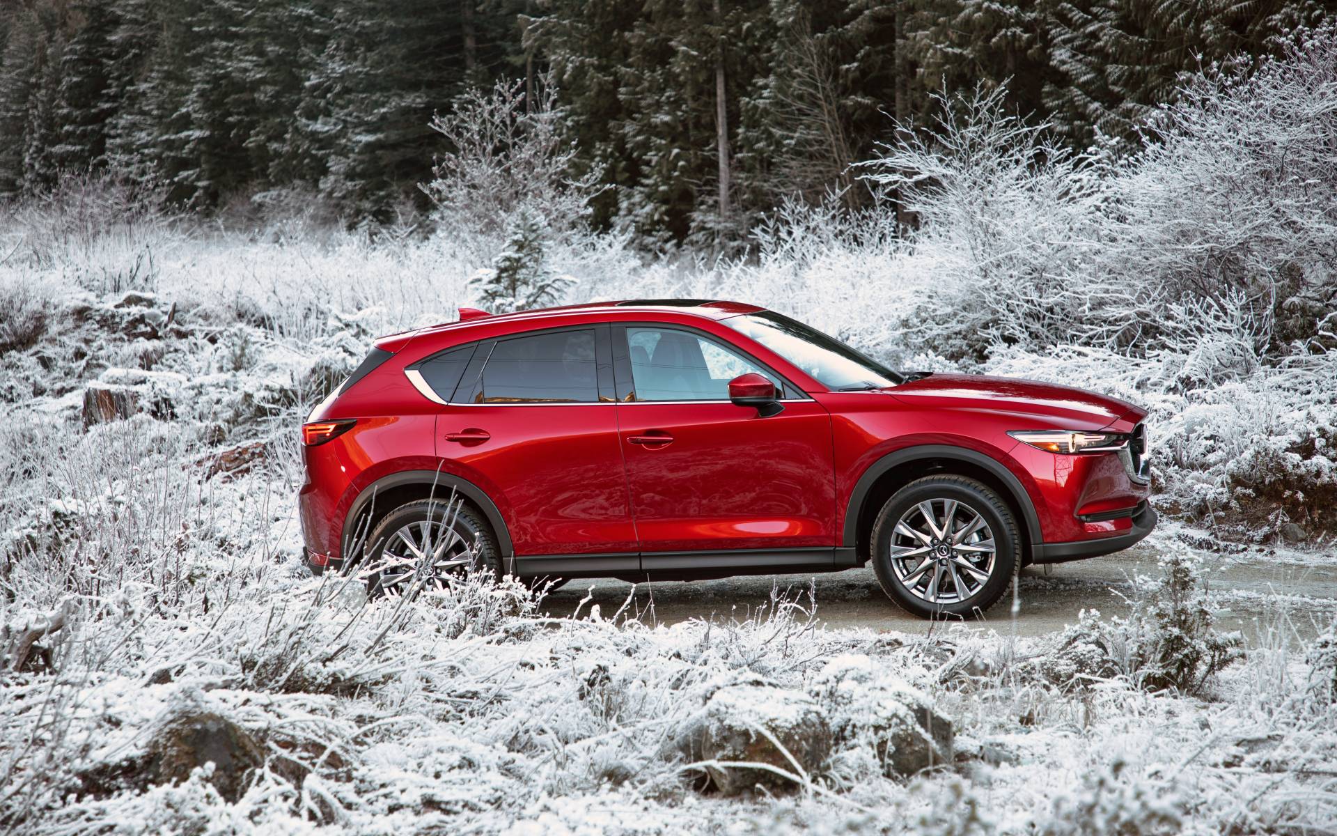 2020 Mazda CX 5 The Go to Compact SUV The Car Guide 2020 Mazda CX 5 The Go to Compact SUV The Car Guide
